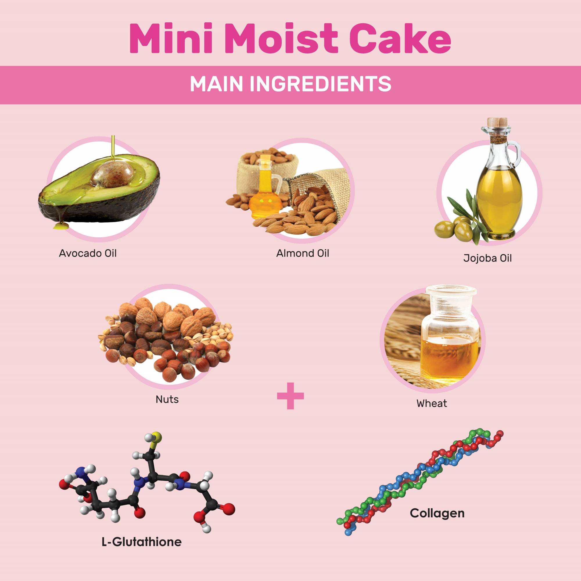 Mini Moist Cake V2(12g)